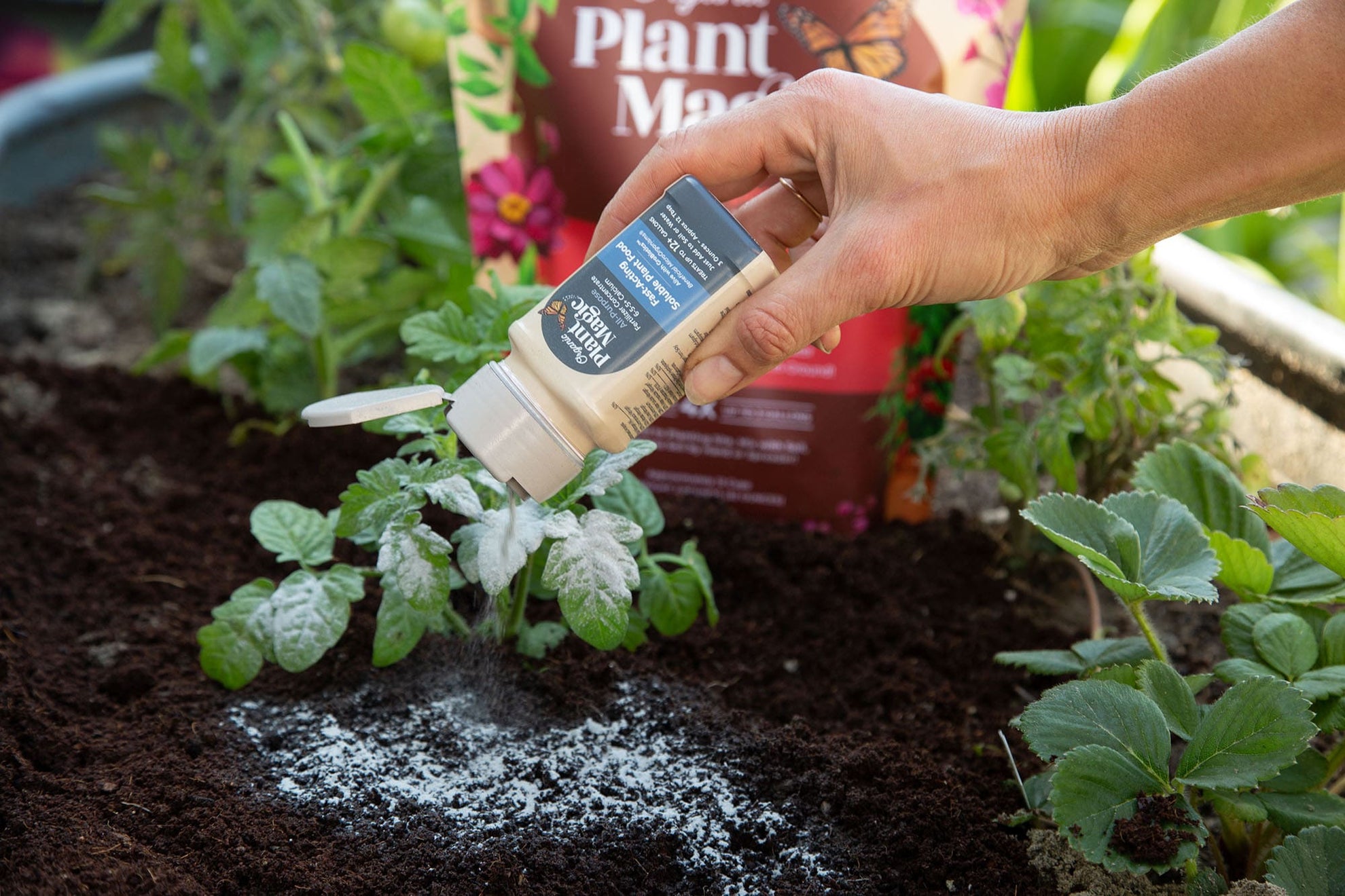 Fast-Acting Soluble Plant Food | Organic Plant Magic